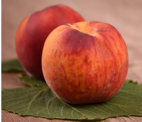 Pecher Dixired C25L 1/2T forte :: BREUIL horticulture